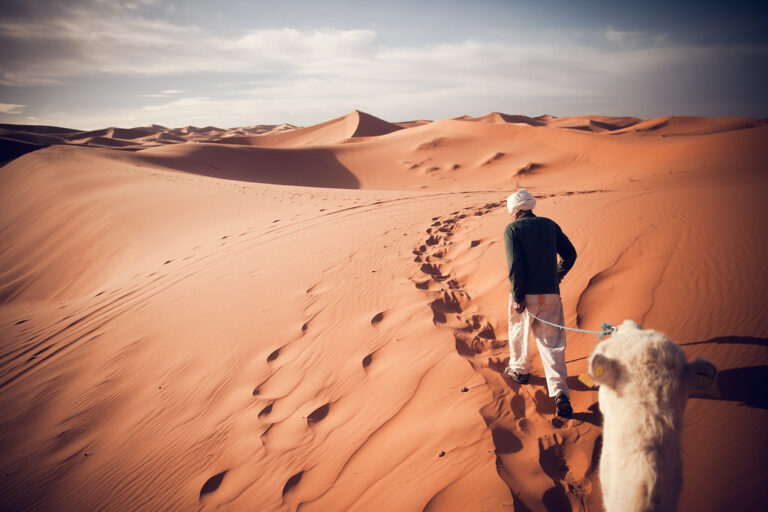 Solo Traveler Safely Finds Way Out of Sahara Desert - Grits and Gear