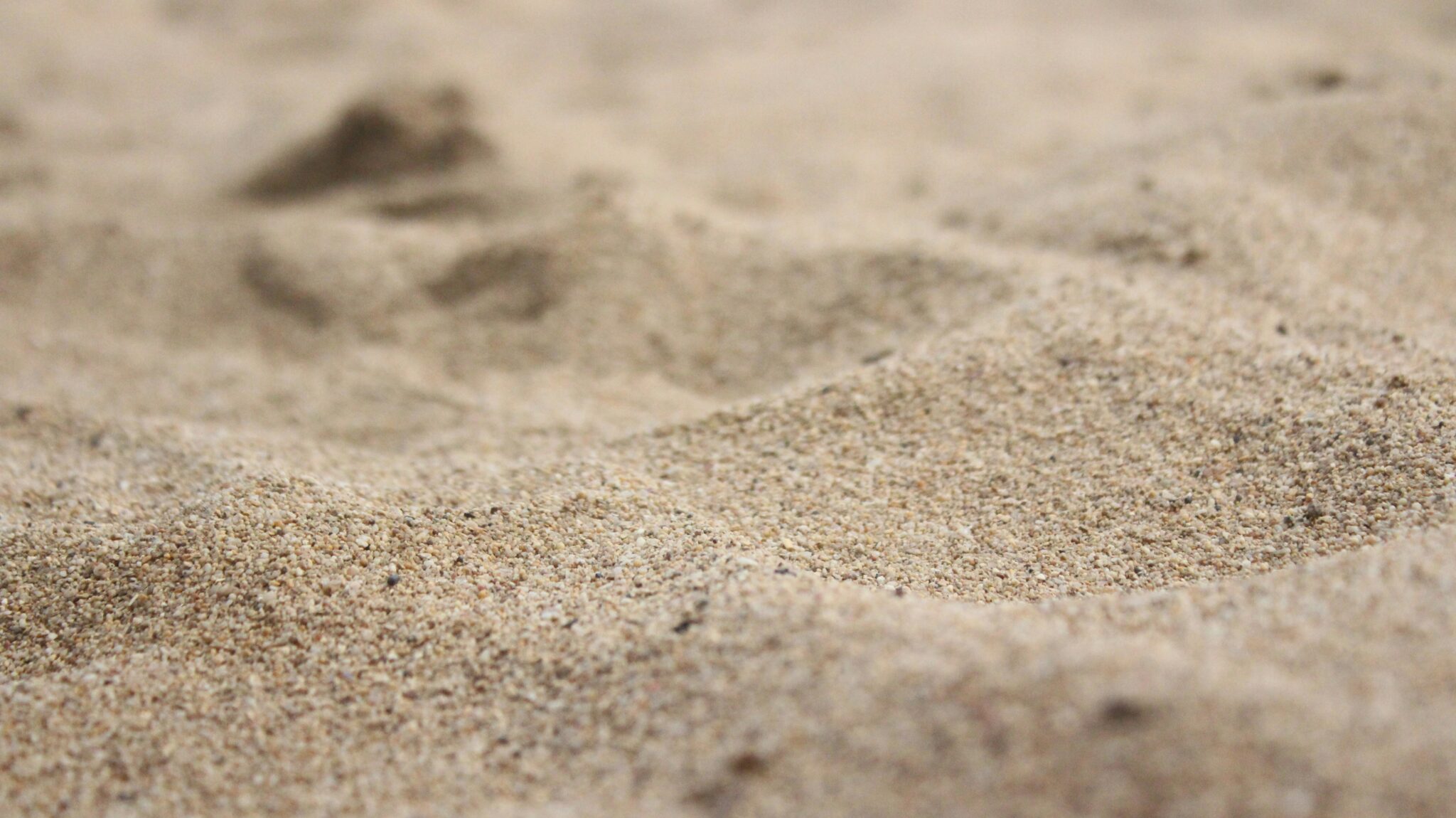 Demystifying Quicksand: Understanding the Phenomenon and Survival ...