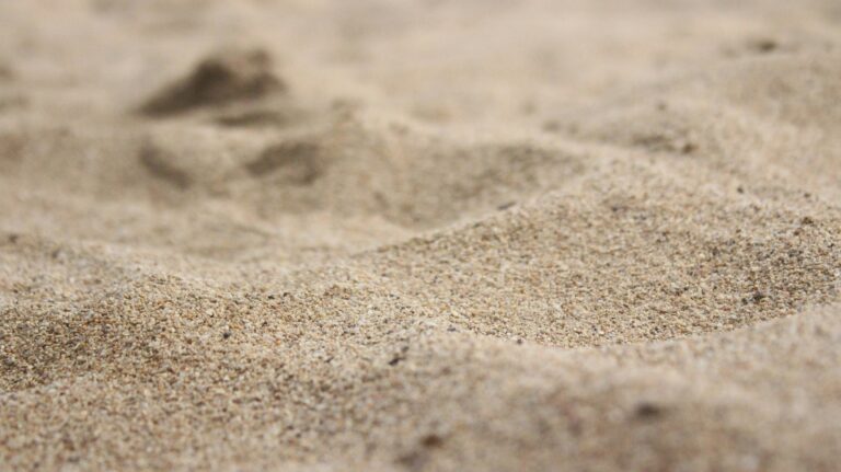 Demystifying Quicksand: Understanding the Phenomenon and Survival ...